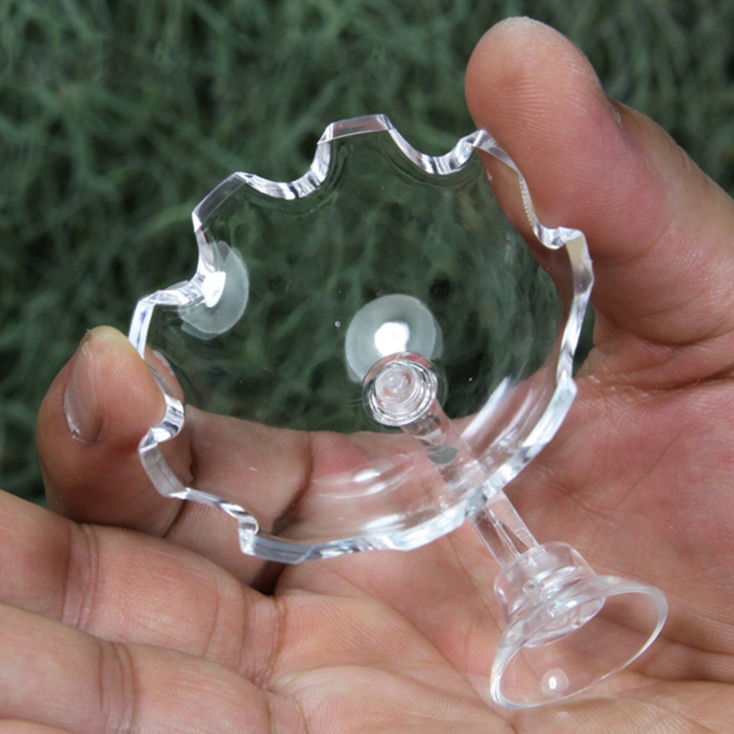 Behogar 3pcs Shrimp Feeding Bowl Small Fish Feed D... – Grandado