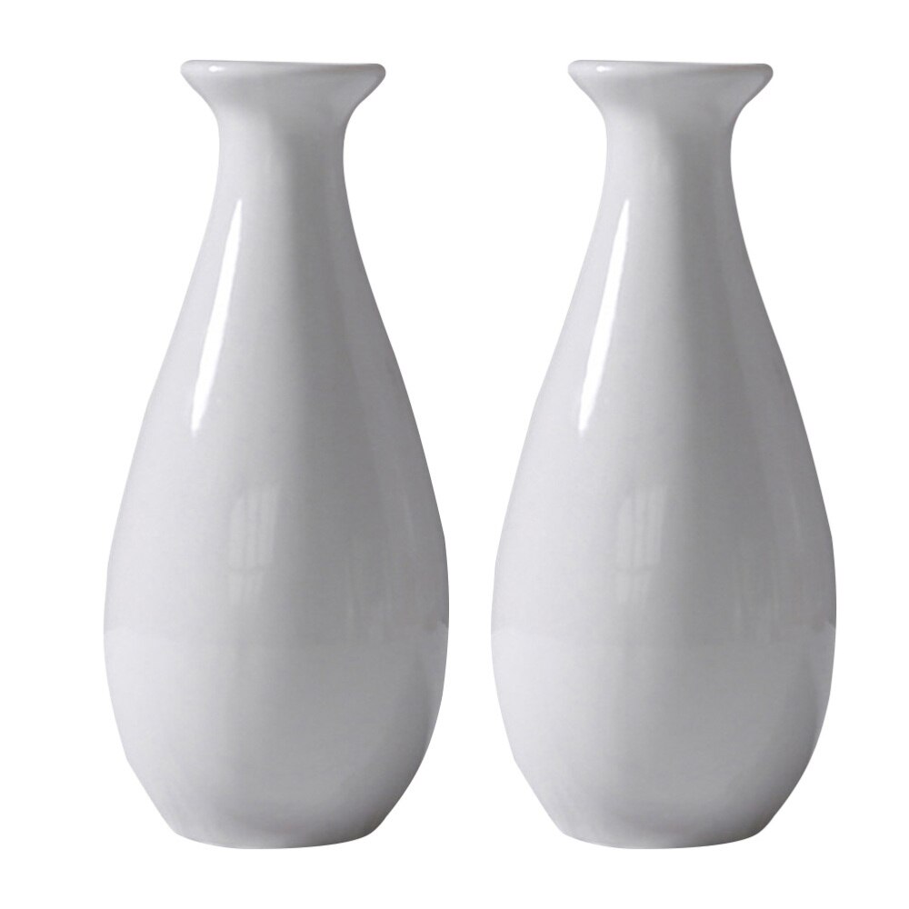 2Pcs Beautiful Desktop Flower Vase Delicate Vase S... – Grandado