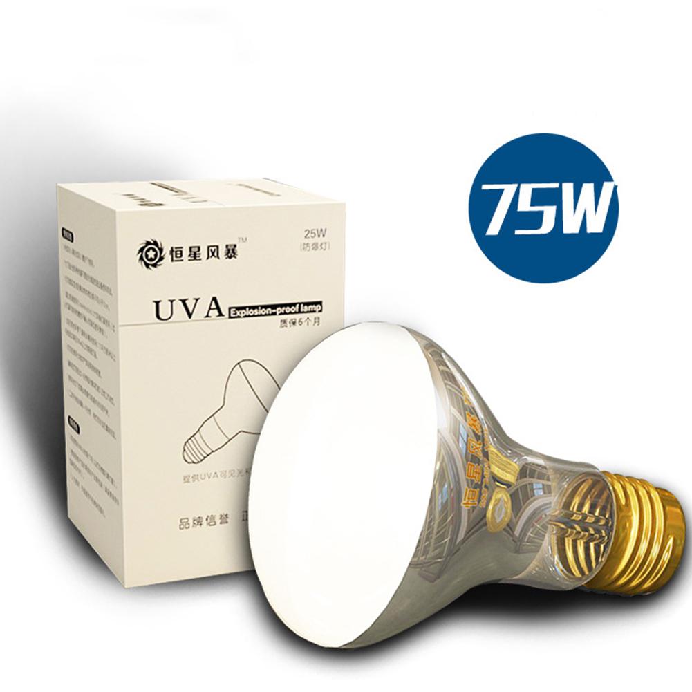 25w/50w/75w/100w anti-eksplosionskrybdyr uva varme... – Grandado