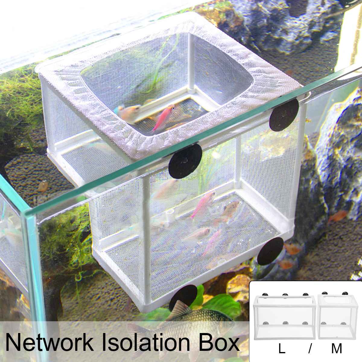 Fish Breeding Incubator Net Isolation Box Aquarium... – Vicedeal