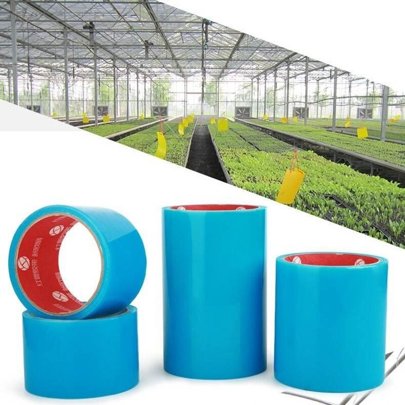 6Type Blue Color UV Resistant Extra Strong Greenho... – Grandado