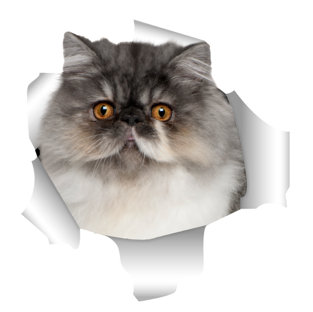Three Ratels 3D Staffordshire Terrier Cat Stickers... – Vicedeal