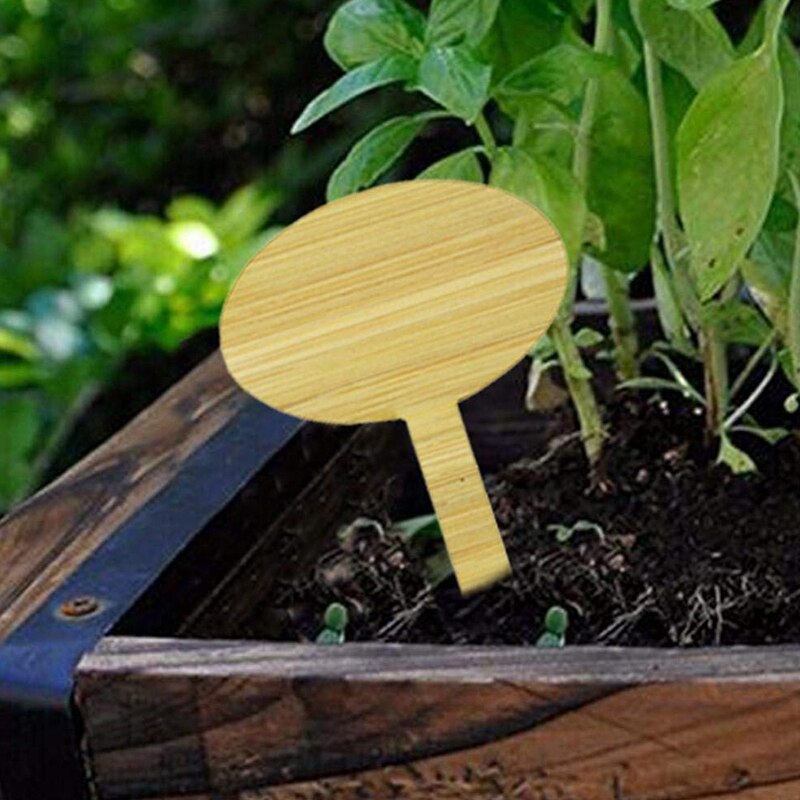 50 Pack Bamboo Plant Label, Oval Plant Label Seed ... – Vicedeal