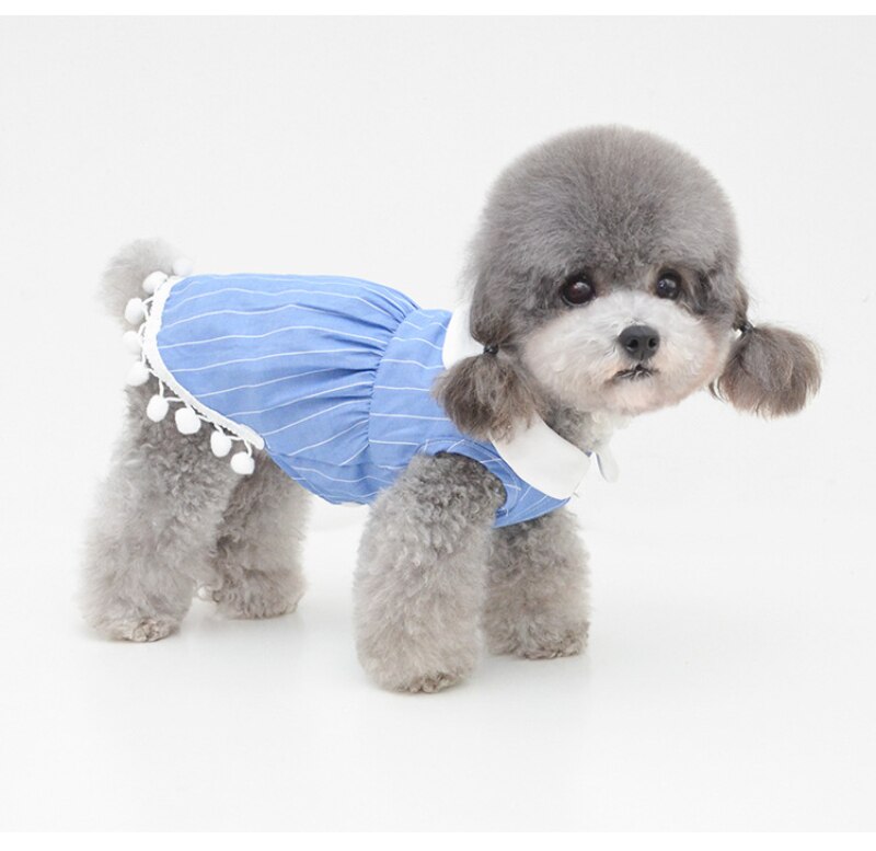 Boy Dog Clothes Shirt Girl Dog Skirt Couple Pet Cl... – Grandado