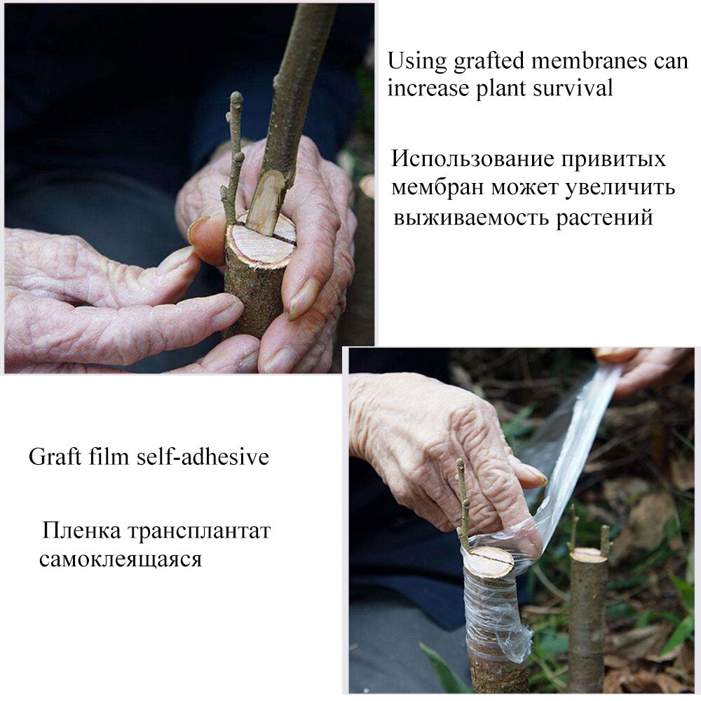 3CM Grafting Tape Fruit Tree Gardening bind belt P... – Grandado