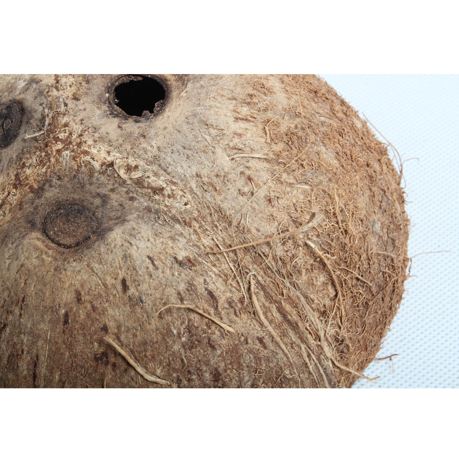 Behokic Small Vivid Reptile cave Hiding Hide Habit... – Grandado