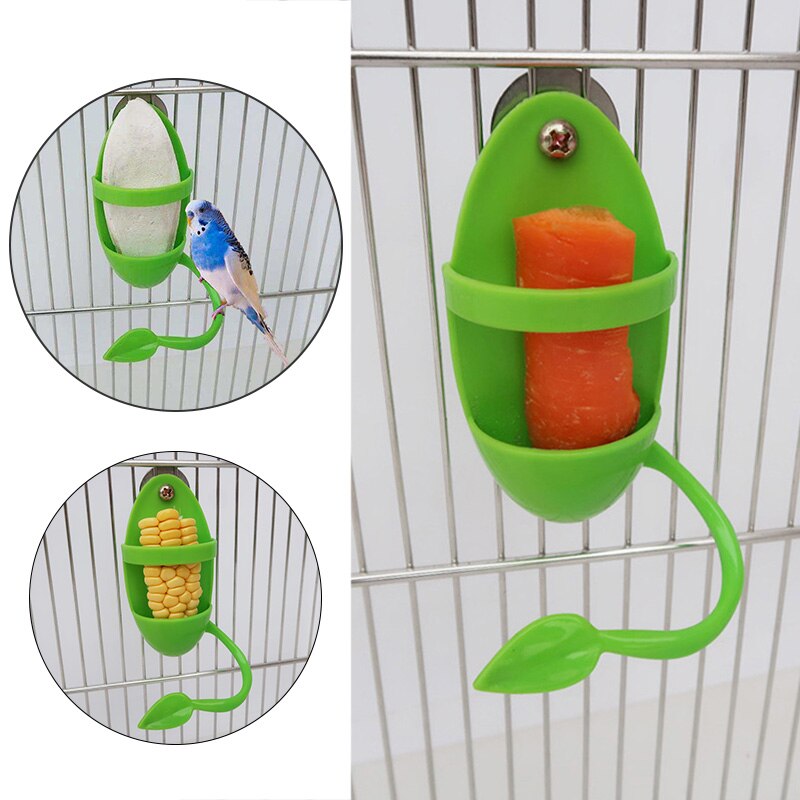 Bird Pet Training Stand Small Bird Toy Portable To... – Grandado