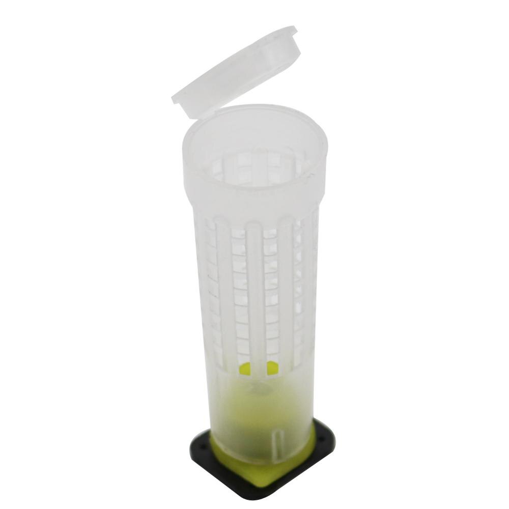 Bee Königin Käfig Schutz Königin Bienenzucht Werkz... – Vicedeal