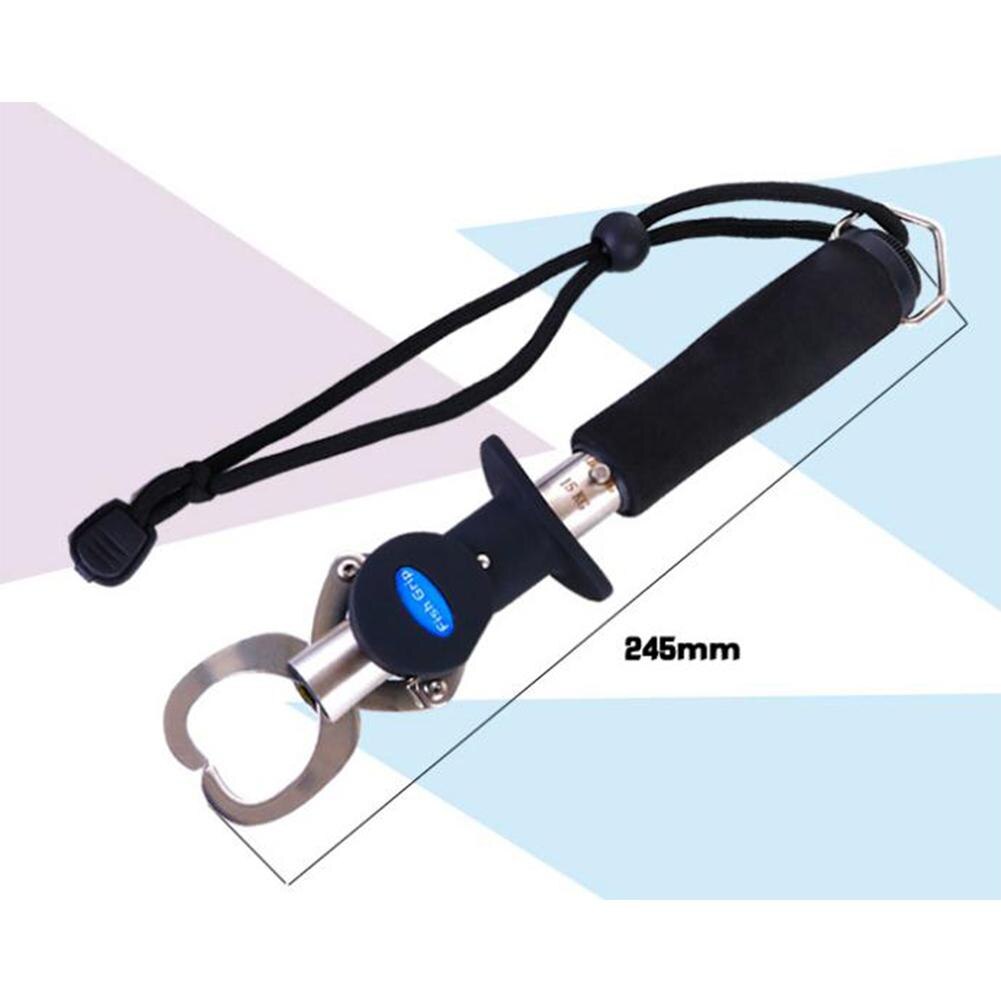 HobbyLane Multifunctional Fish Controling Tool Fis... – Vicedeal