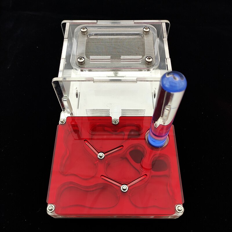 Yellow Ant Nest Acrylic Ant Villa Mini Ant Farm In... – Grandado