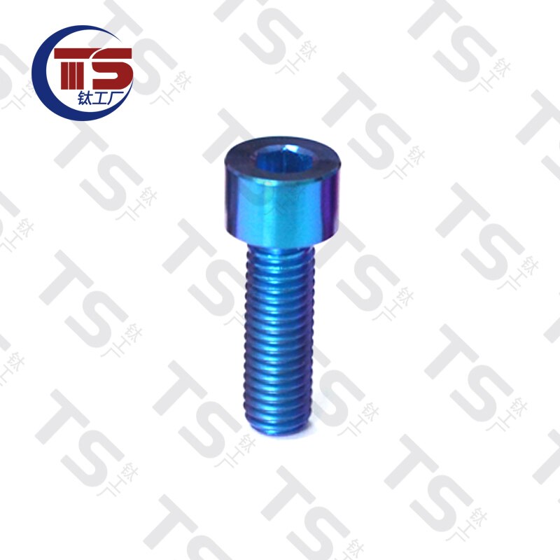 TS Titanium Bolts M8x20/25/30mm Allen Head Screw f... – Grandado