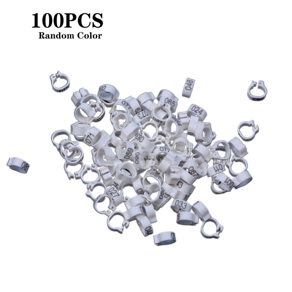 100 Pieces Pigeon Bayonet Number Ring Foot Ring Bi... – Vicedeal