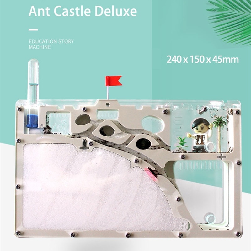 Ant Castle M Ecological Insect Box Pet Ant Worksho... – Vicedeal