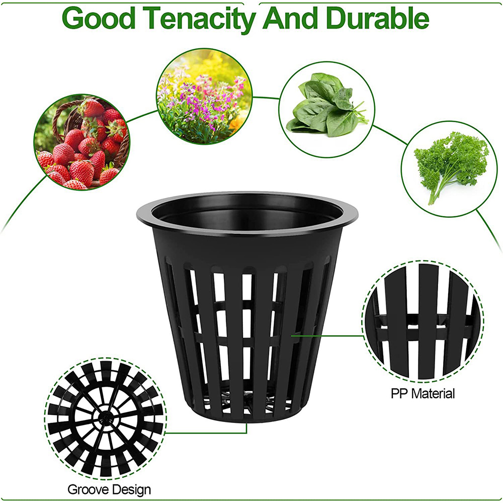 2 Inch Garden Hydroponic Pot Net Cup Hydroponic So... – Grandado