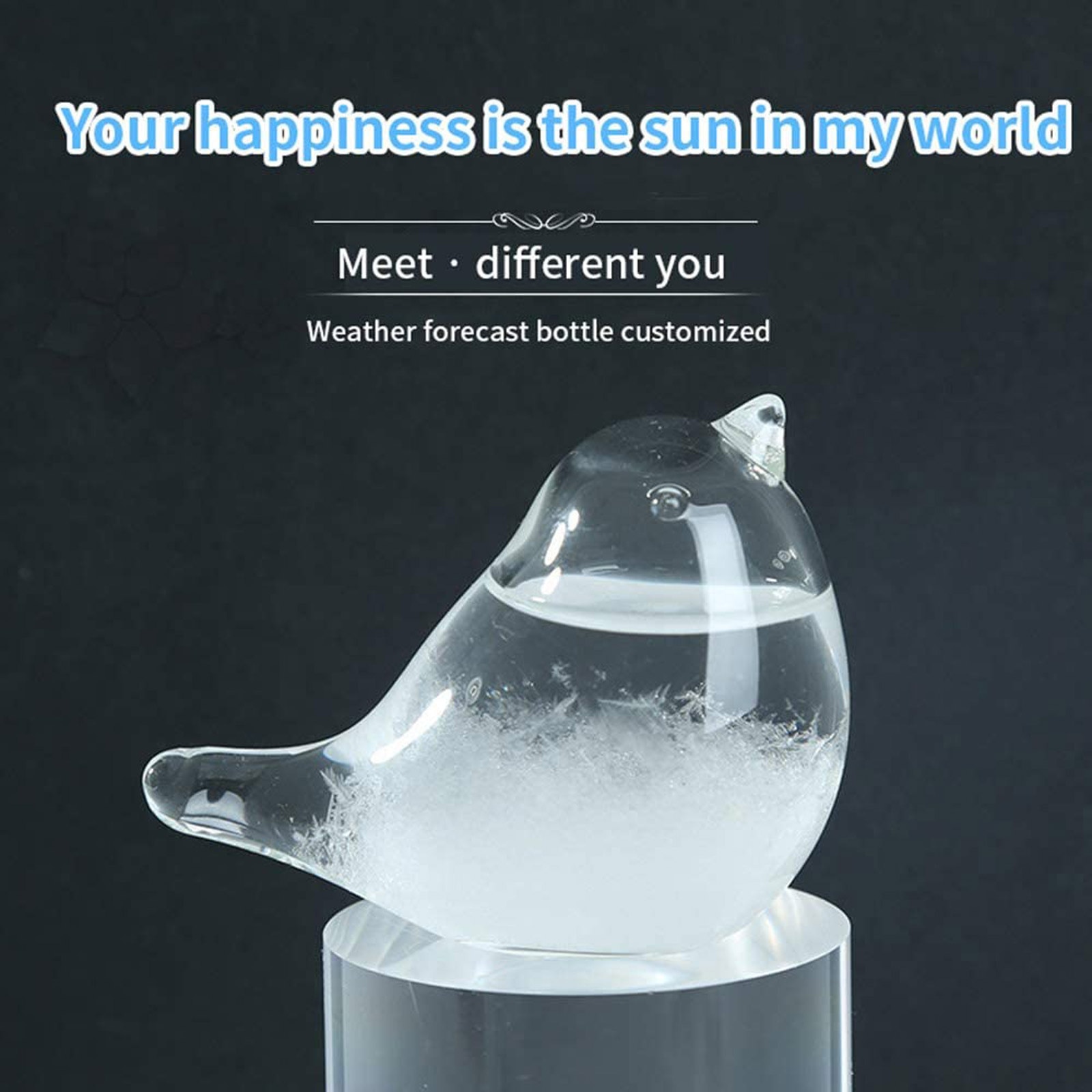 30ml Transparent Droplet Storm Glass Water Weather... – Vicedeal