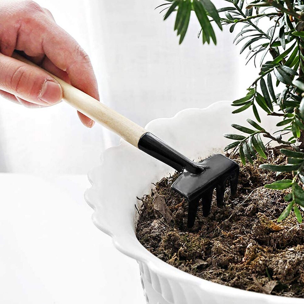 Flower Garden Tools Set Hand Held Miniature Succul... – Grandado