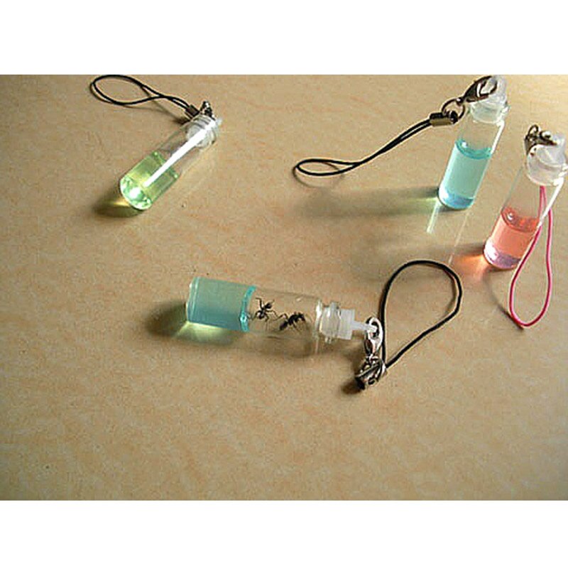 4Pcs Ant Mobile Phone Chain Mini Ant Nest Mixed Co... – Grandado