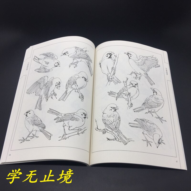 Chinese Painting Book For Sparrow Painting Xian Mi... – Vicedeal