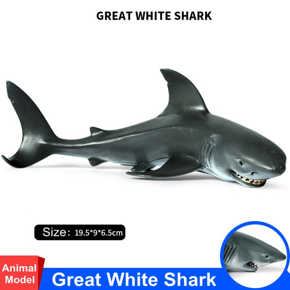 Ocean Figure Great White Shark Wild Animal PVC Mod... – Grandado