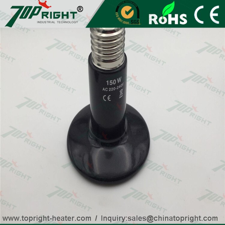 75x102mm 150W Infrared ceramic heat lamp for anima... – Grandado