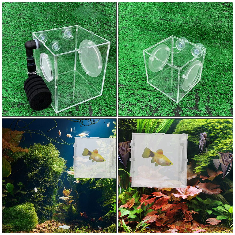 Fish Breeding Box Fish Hatchery Isolation Box Fish... – Grandado