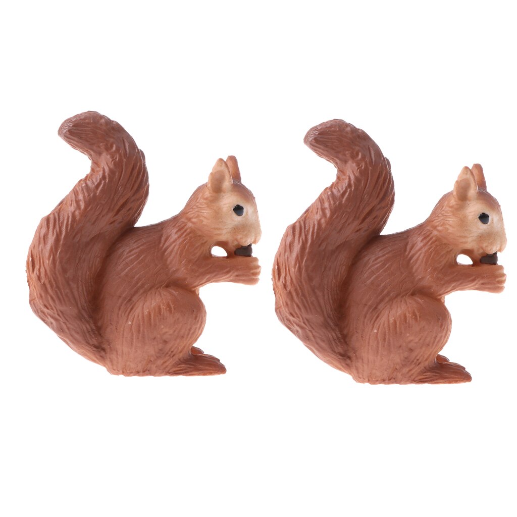 2 Plastic Squirrel Educational Animal Figure Model... – Grandado