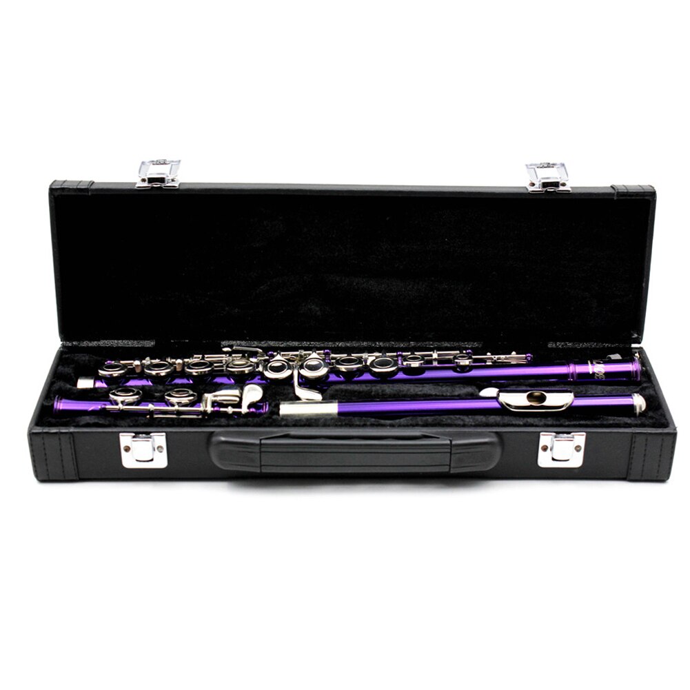 16 Hole Flute Box Portable Musical Instrument Flut... – Grandado
