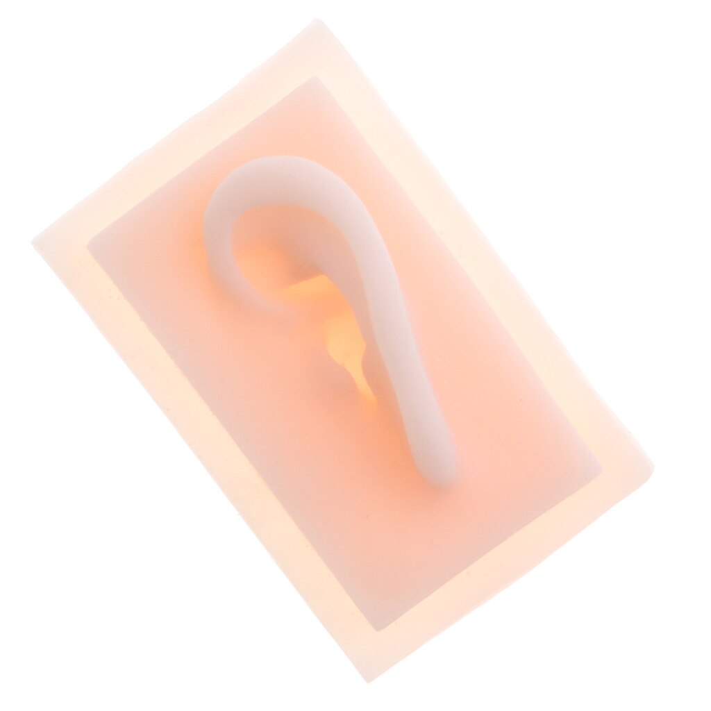 Natural Size Human Left Ear Model, Silicone Ear Ac... – Grandado