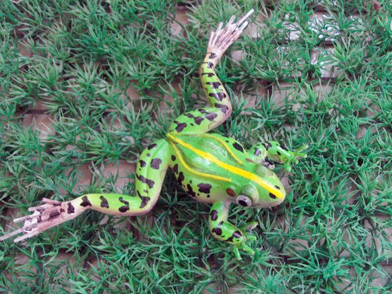 Artificial animal insect model Frog Toad bird orna... – Grandado