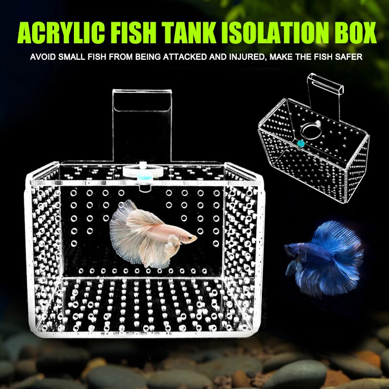 Arcylic Aquarium Fish Tank Isolation Box Breeding ... – Vicedeal