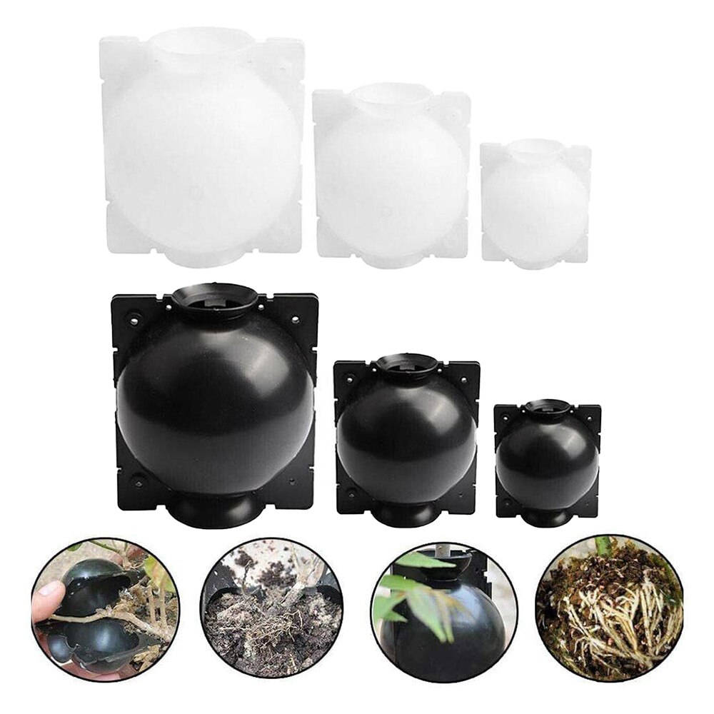 Plant Rooting Device Garden Grafting Box High Pres... – Vicedeal