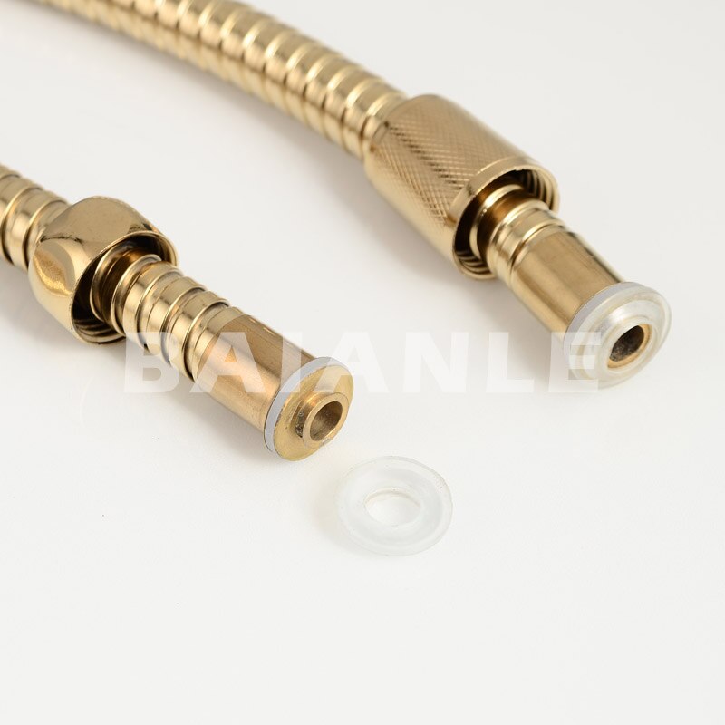Golden Plumbing Hose Flexible Stainless Steel Doub... – Grandado