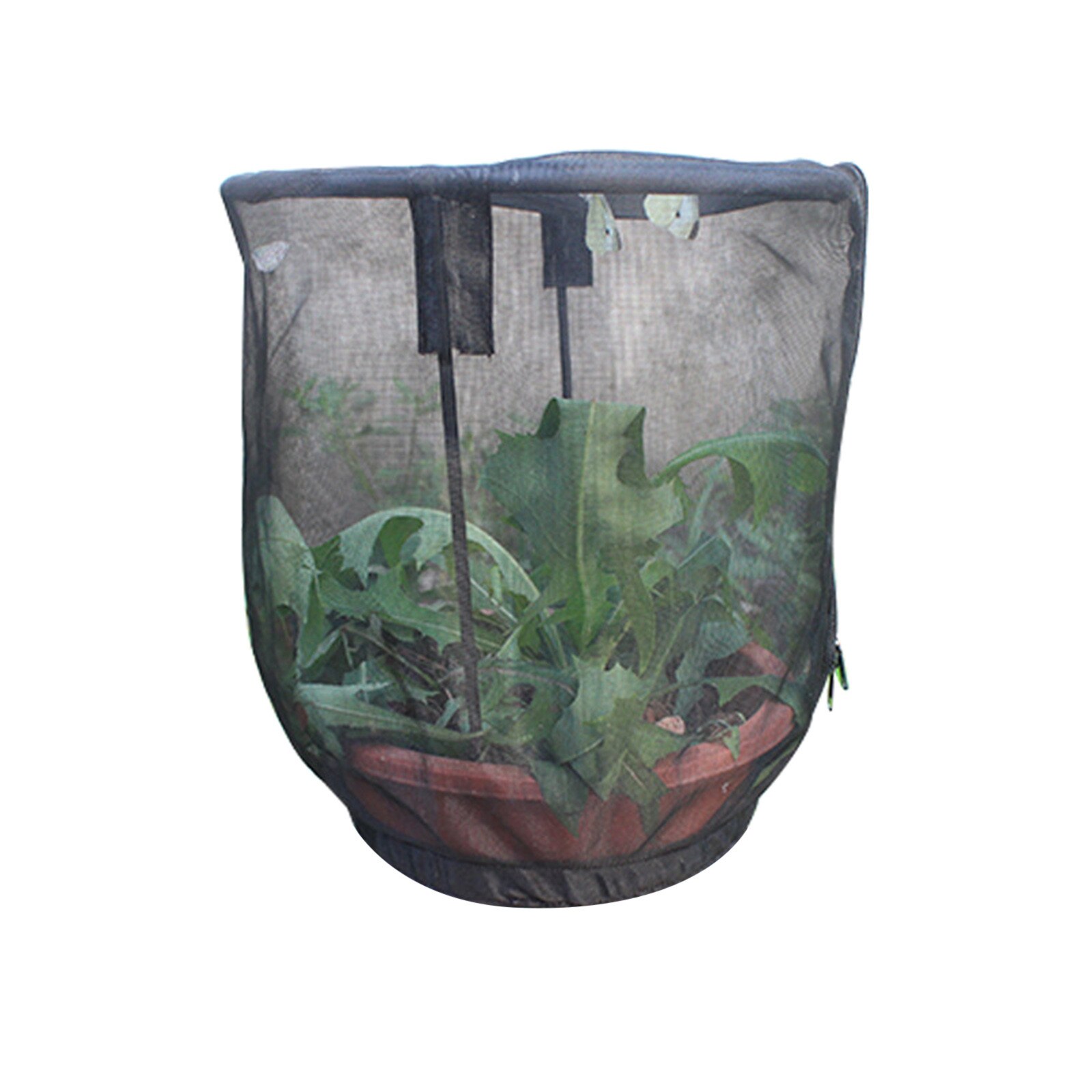 T# Garden Insect Net Cage Butterfly Insect Habitat... – Vicedeal