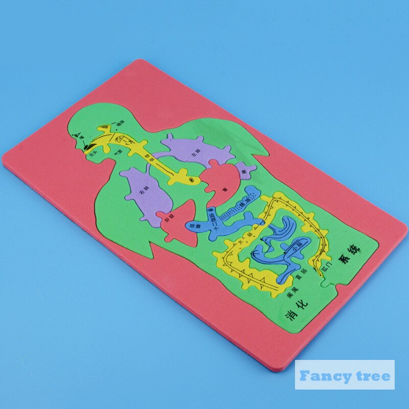 for children 3 years diy kit Various colors foam H... – Grandado