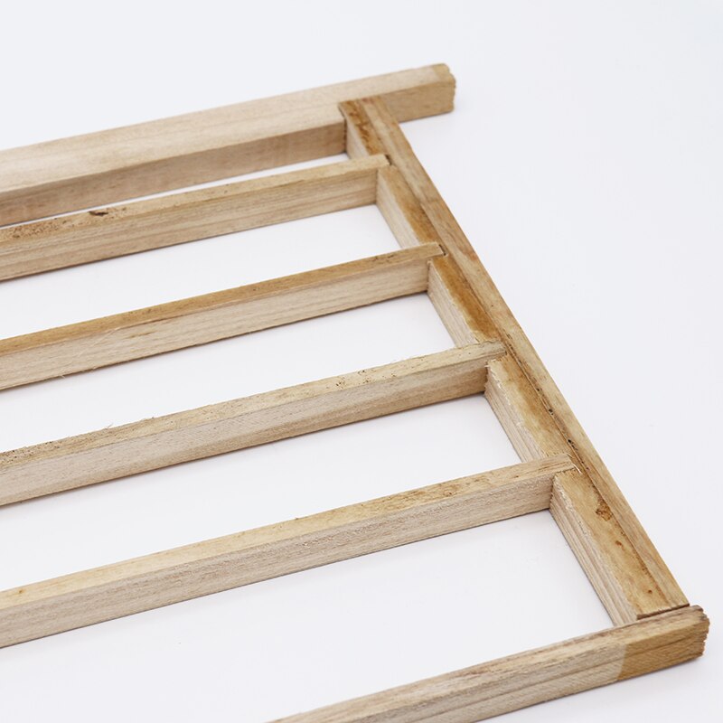 10pcs Royal jelly frame rearing queen bee cultivat... – Grandado