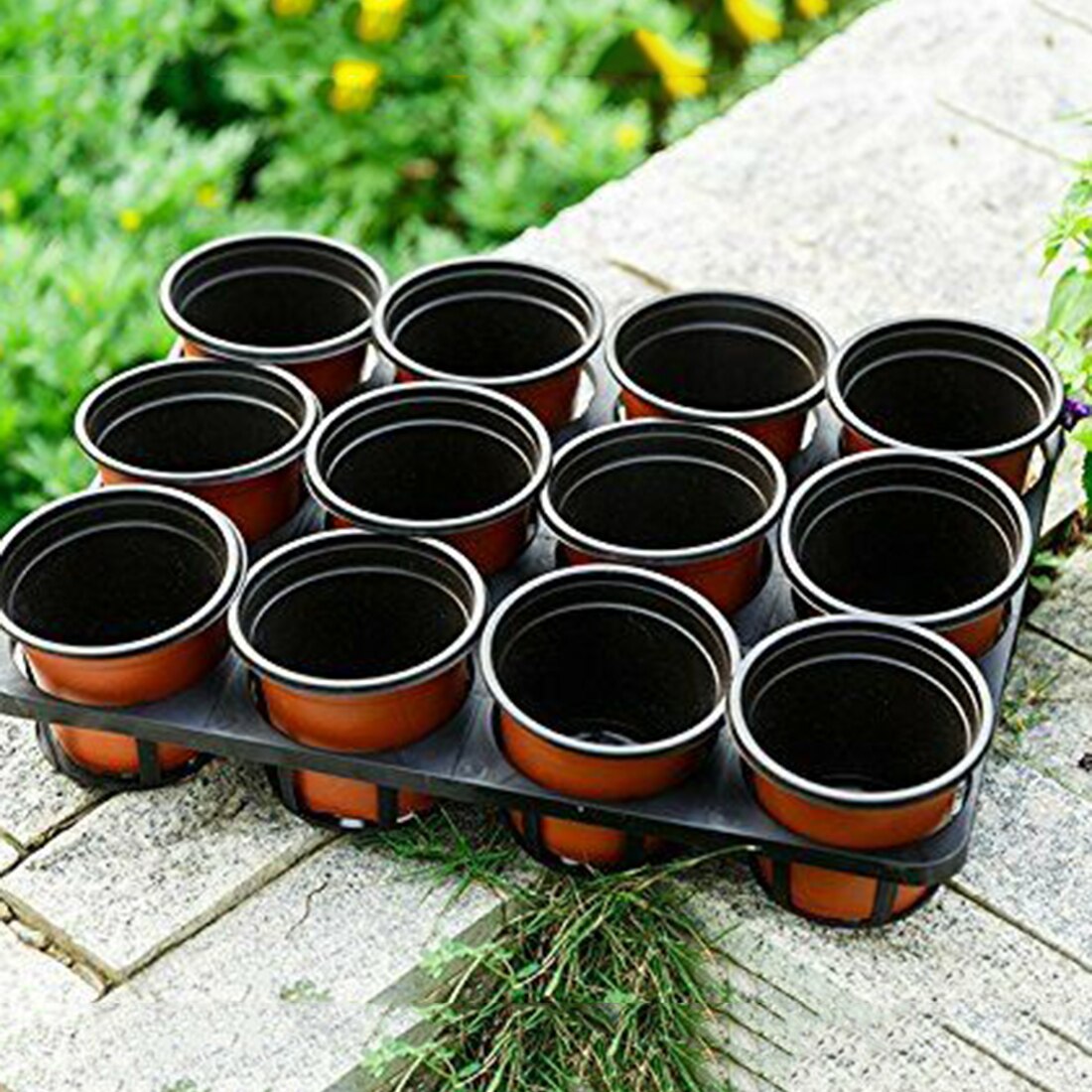 Plastic Planten Pot Tuinieren Planten Pot Groeien ... – Grandado