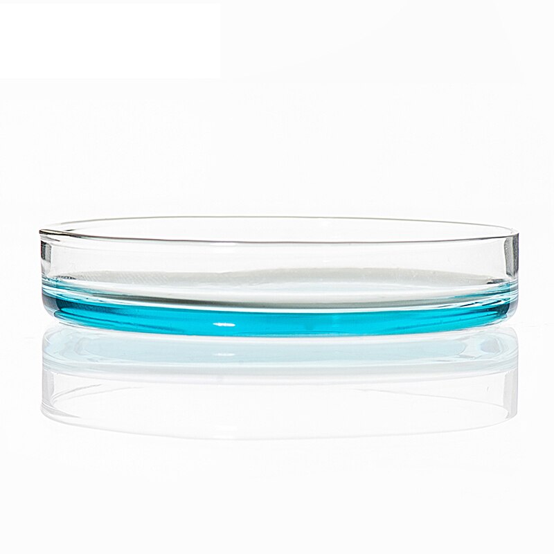 Borosilicate Glass Petri Dishes Bacteria Petri Dis... – Grandado