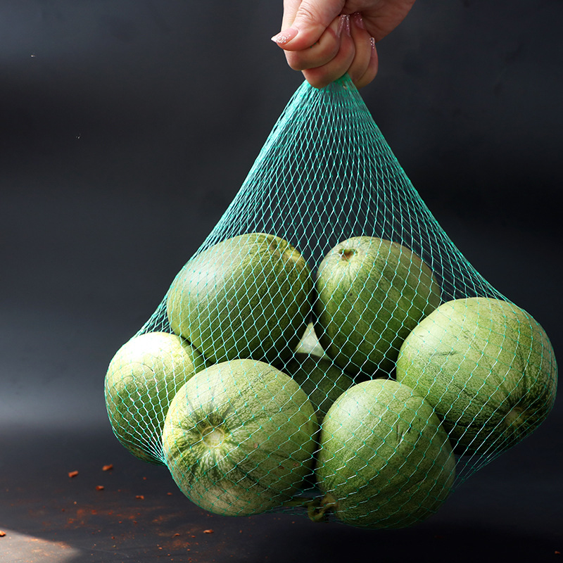 100 Pcs Plastic Nylon Mesh Net Bags for Vegetable ... – Grandado