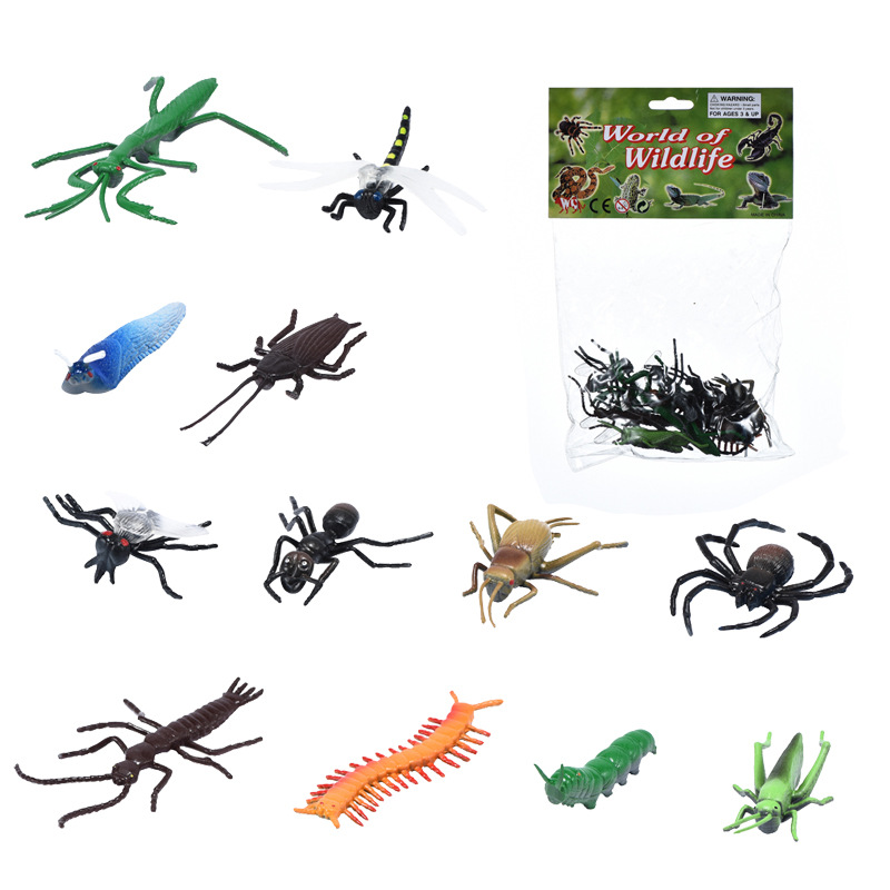 Cognitive Toys 12PCS Plastic Realistic Bugs Lifeli... – Grandado