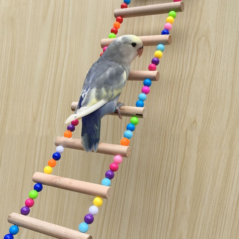 Bird Toys Wooden Ladders Rocking Scratcher Perch C... – Vicedeal