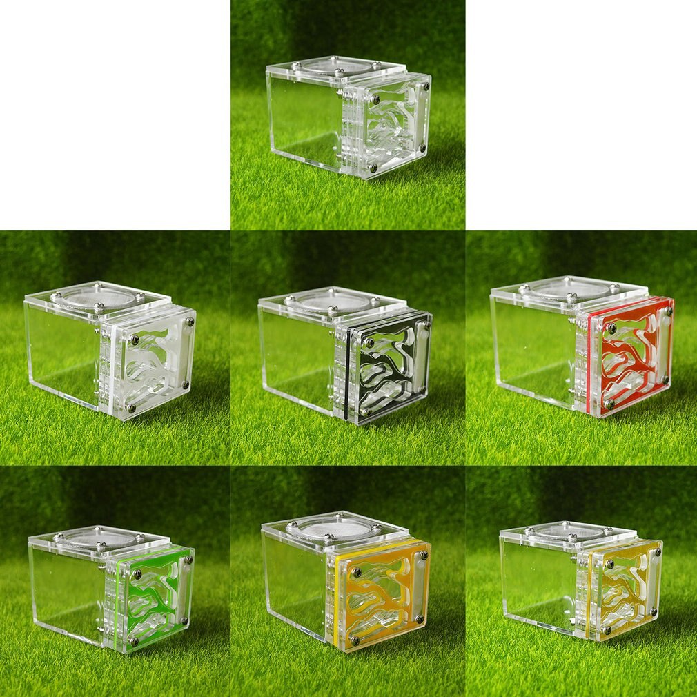 Transparent Cube Acrylic Ant Nest 3D Tunnels Venti... – Grandado
