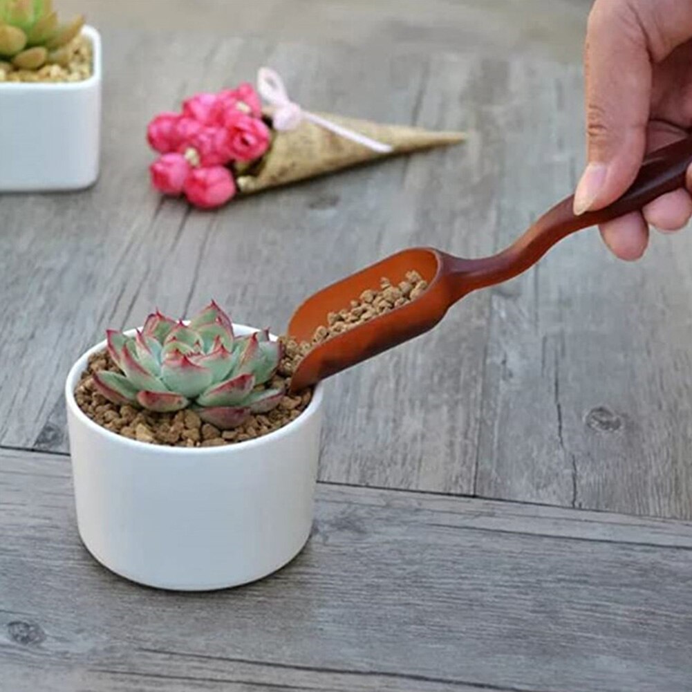 16pcs Set Spade Bonsai Succulent Planting Mini Tra Grandado