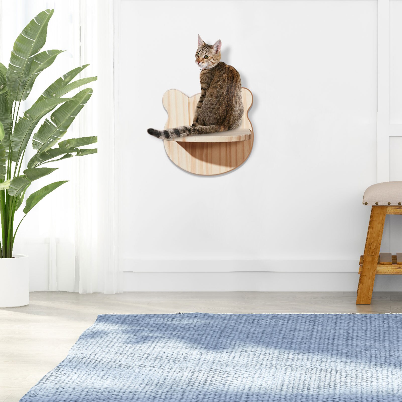 Cat Hammock Wall Mounted Durable Safe Climbing Fra... – Grandado