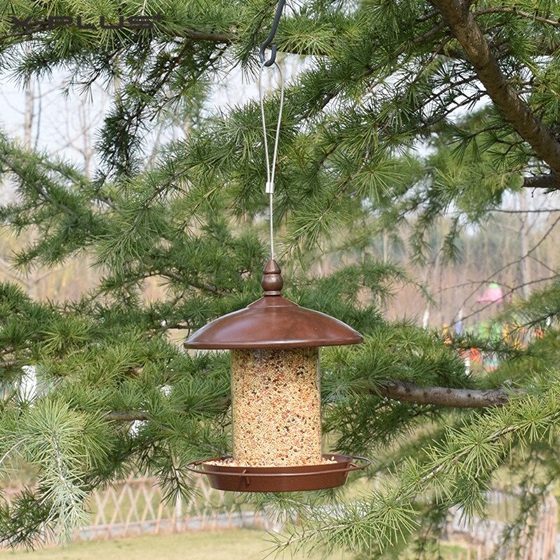 Panorama fuglefoder egern foder fuglefoder til ude... – Grandado