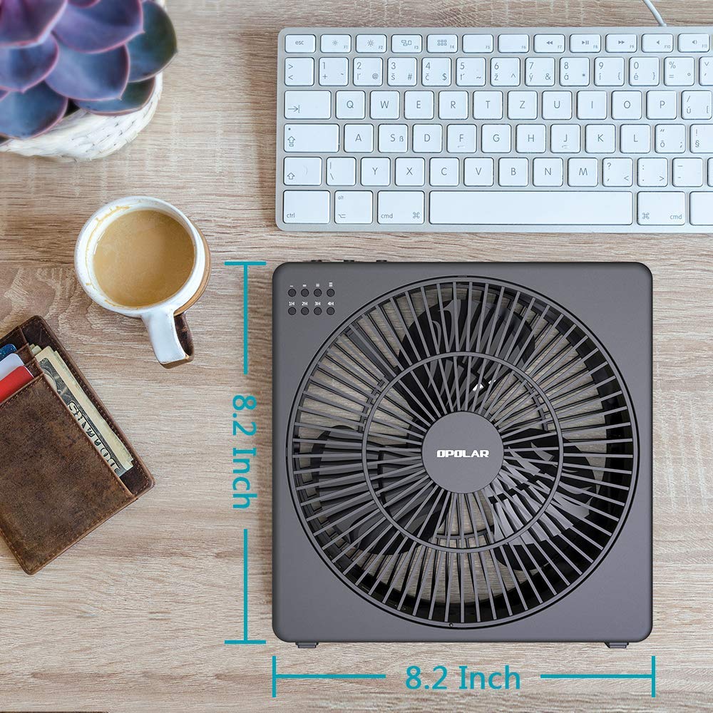 8 Inch Desk Fan with Timer, USB Operated, 5 Speeds... – Grandado