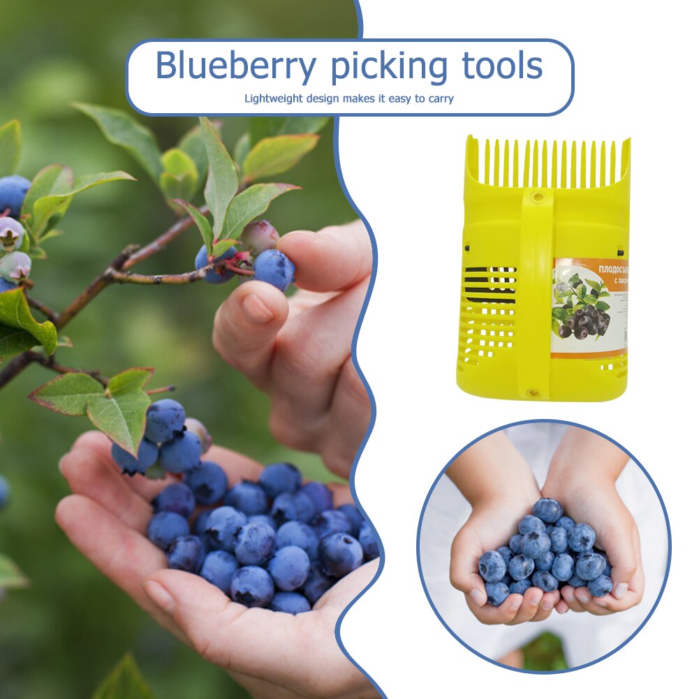 Blueberry Picker Ergonomic Orchard Fruit Picker Ha... – Grandado