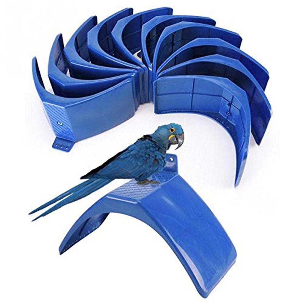 20 Pcs Pigeon Dove Rest Stand Pigeon Perches Roost... – Grandado