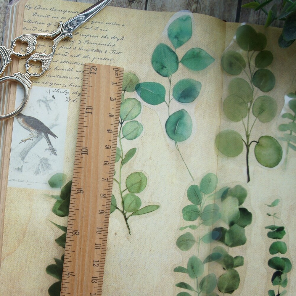 38pcs Spring Morning Leaves Transparent Sticker Sc... – Grandado
