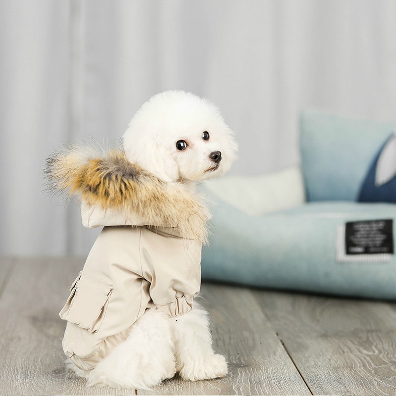 Winter Dog Coat Jacket Fur Collar Pet Clothes For ... – Grandado