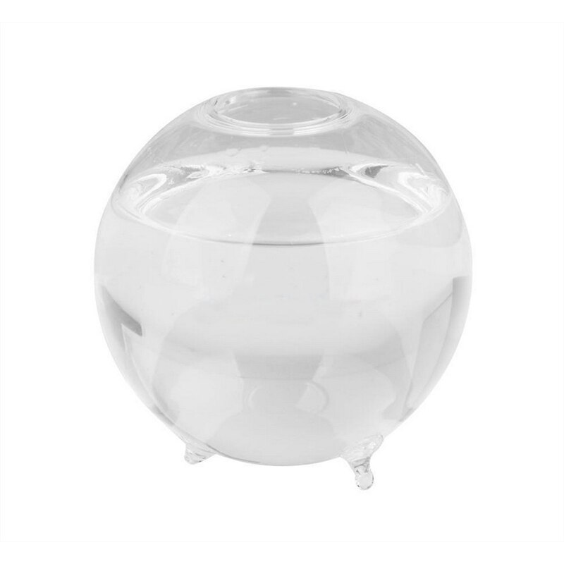 Clear Glass Flower Ball Vase Handmade Hydroponic P... – Grandado